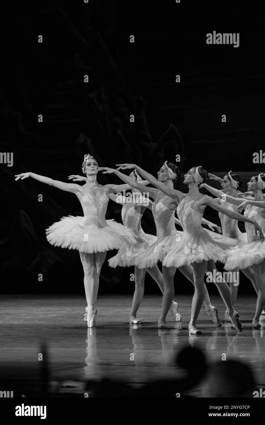 Swan lake ballet Black and White Stock Photos & Images - Alamy