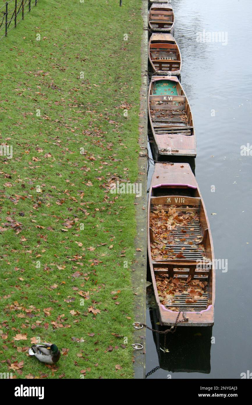 Rows sailing boats ships hi-res stock photography and images - Alamy