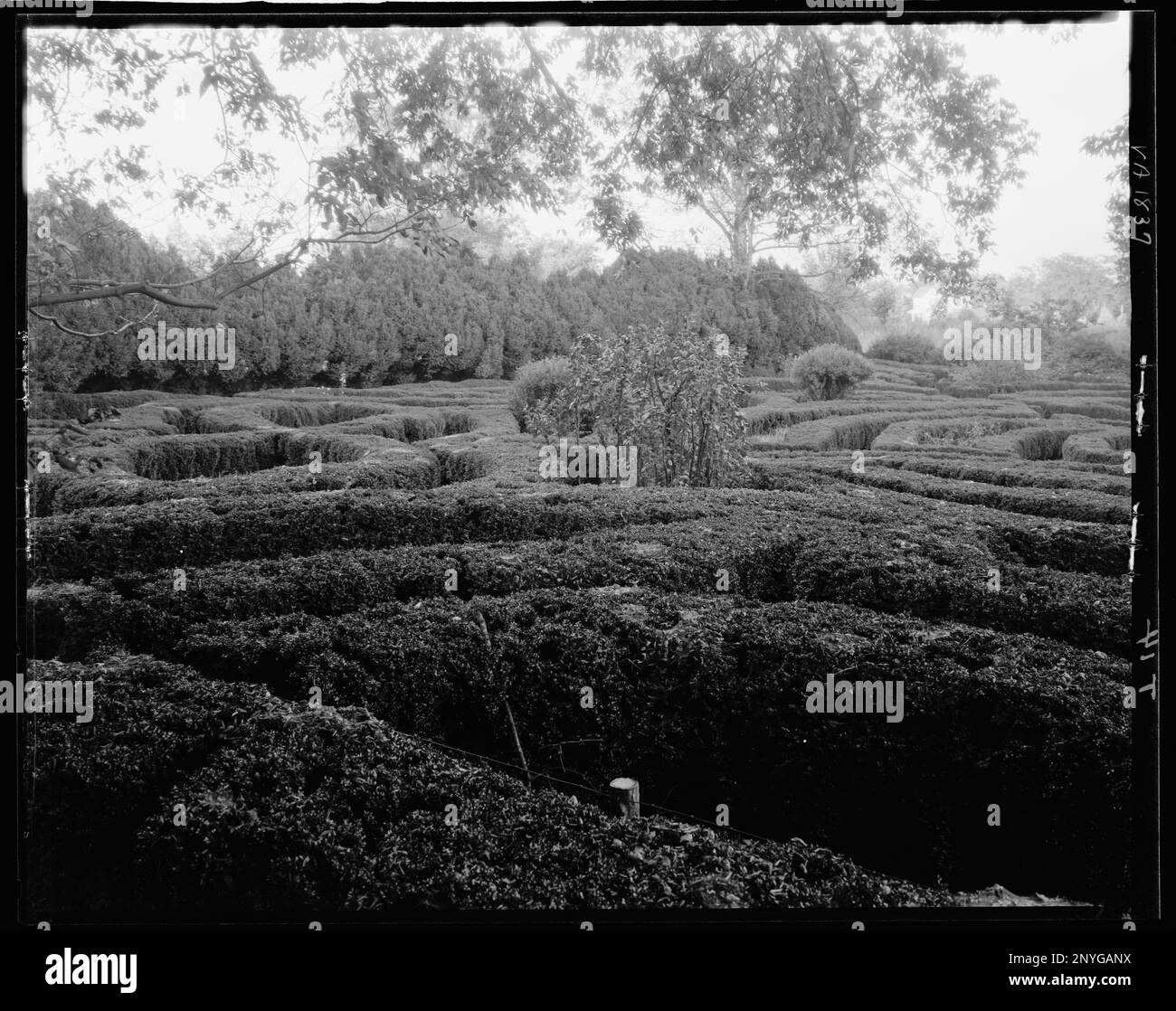 Maze architecture Black and White Stock Photos & Images - Alamy