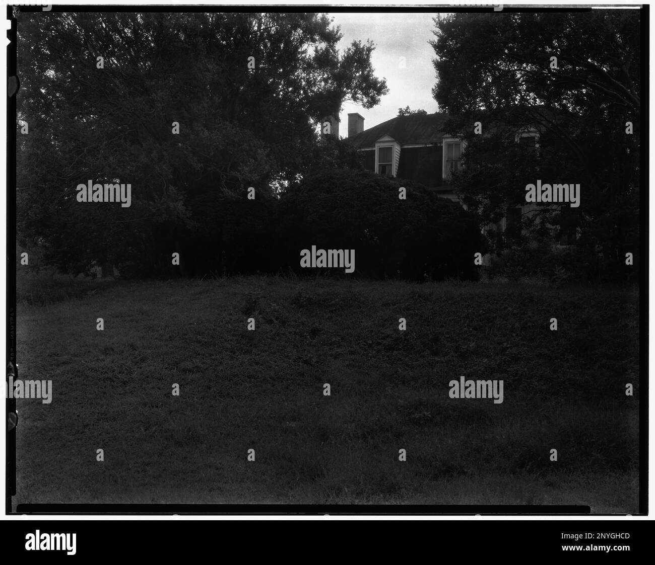 Four Mile Tree, Spring Grove vic., Surry County, Virginia. Carnegie ...