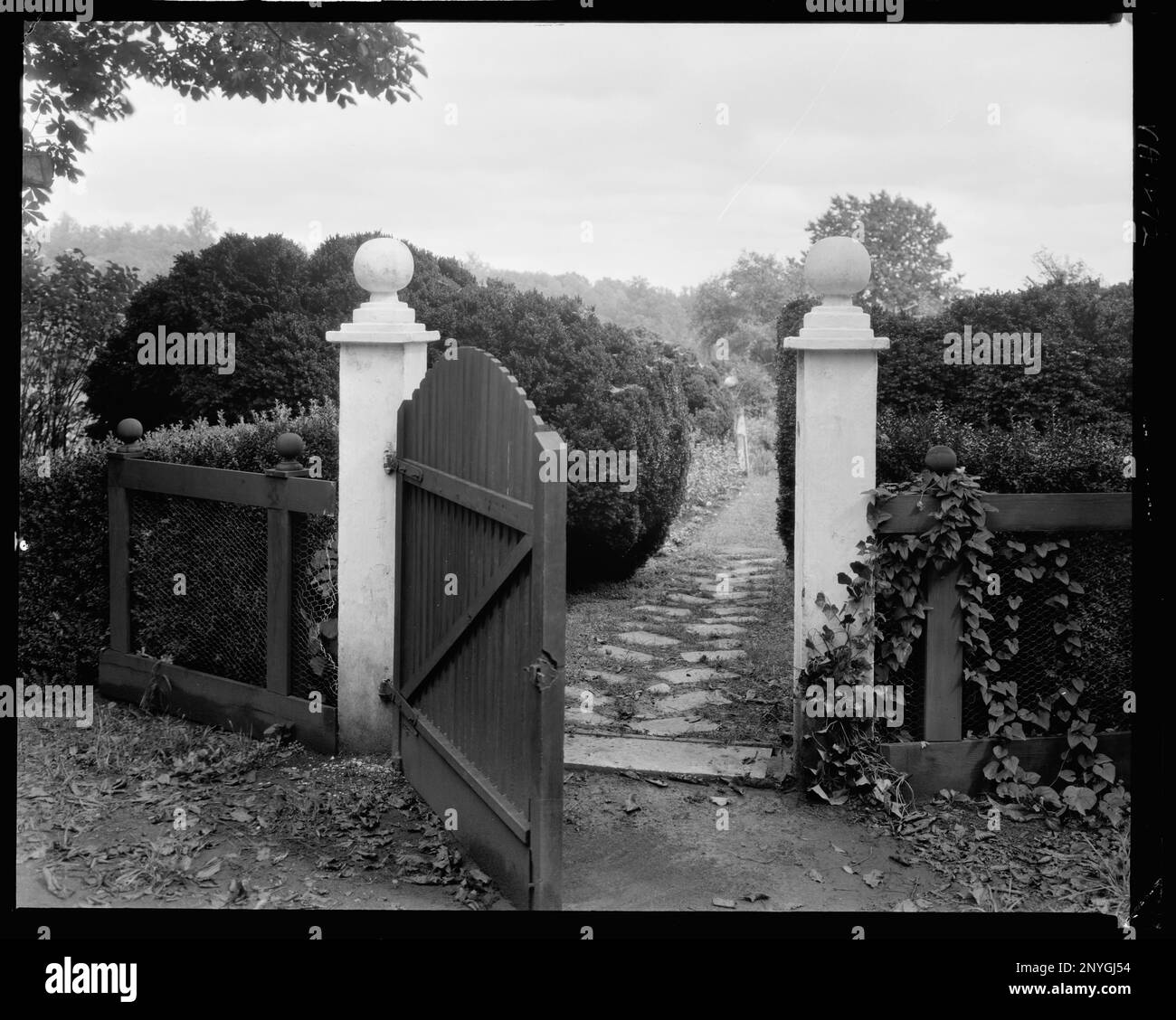 Redlands, Carter's Bridge, Albemarle County, Virginia. Carnegie Survey ...