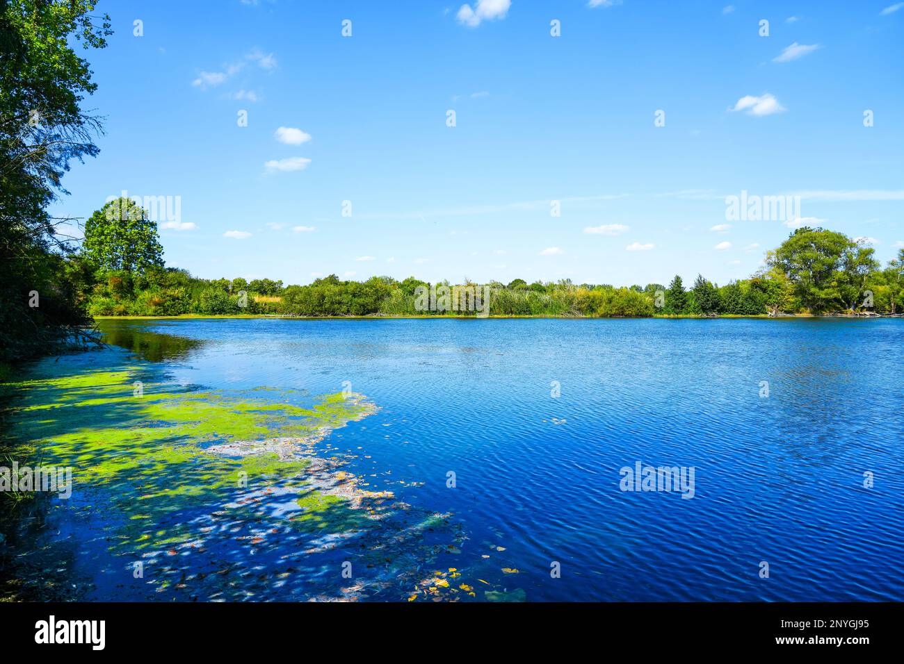 Landscape at the Koldinger Seen in the southern Leineaue. Nature ...