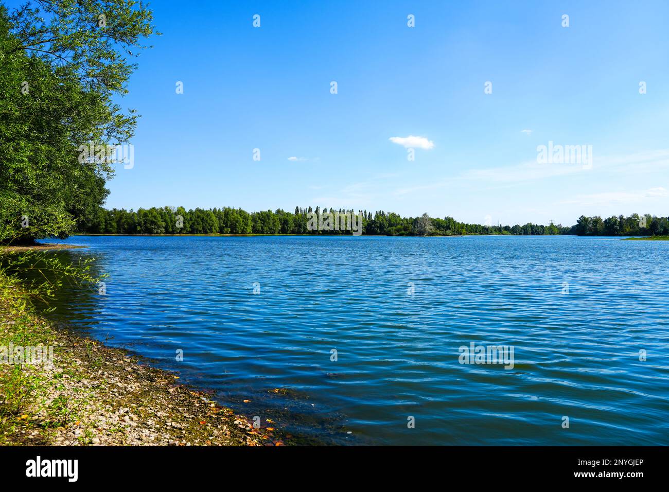Landscape at the Koldinger Seen in the southern Leineaue. Nature ...