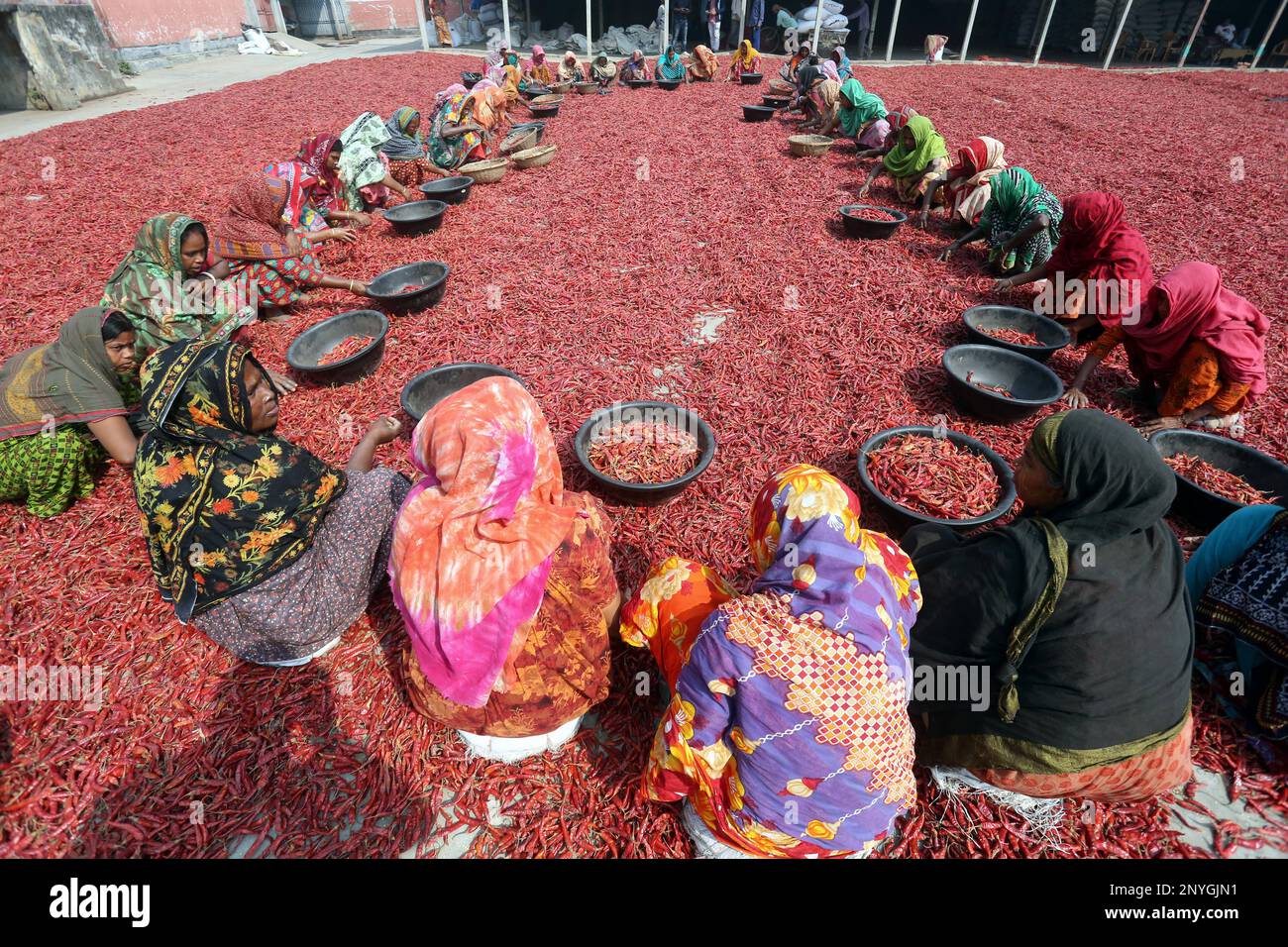 March 2, 2023, Bogra, Bogura, Bogra Sadar, Bangladesh: Bangladeshi ...