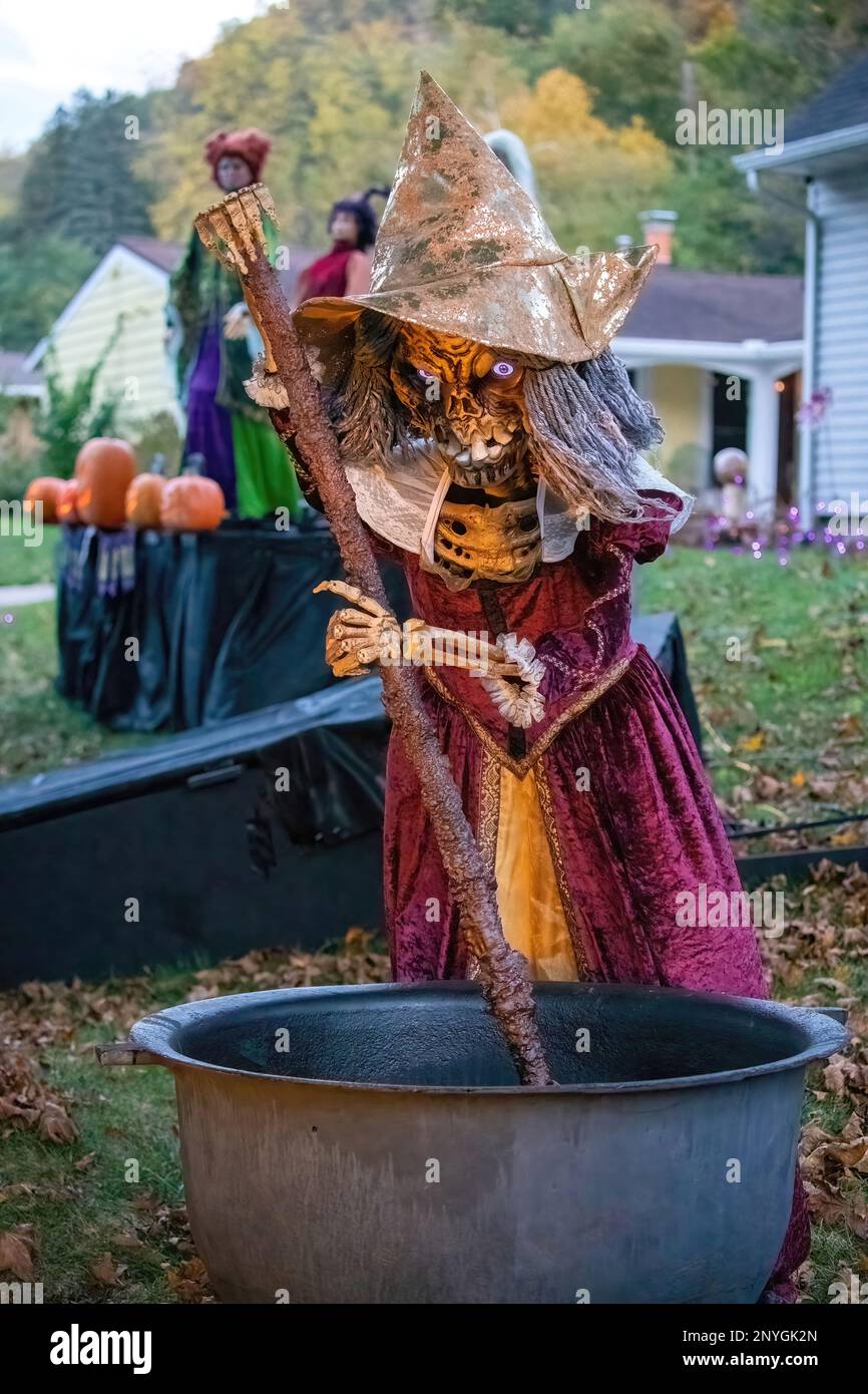 Halloween yard decoration of a goblin skeleton stirring a witch's brew ...