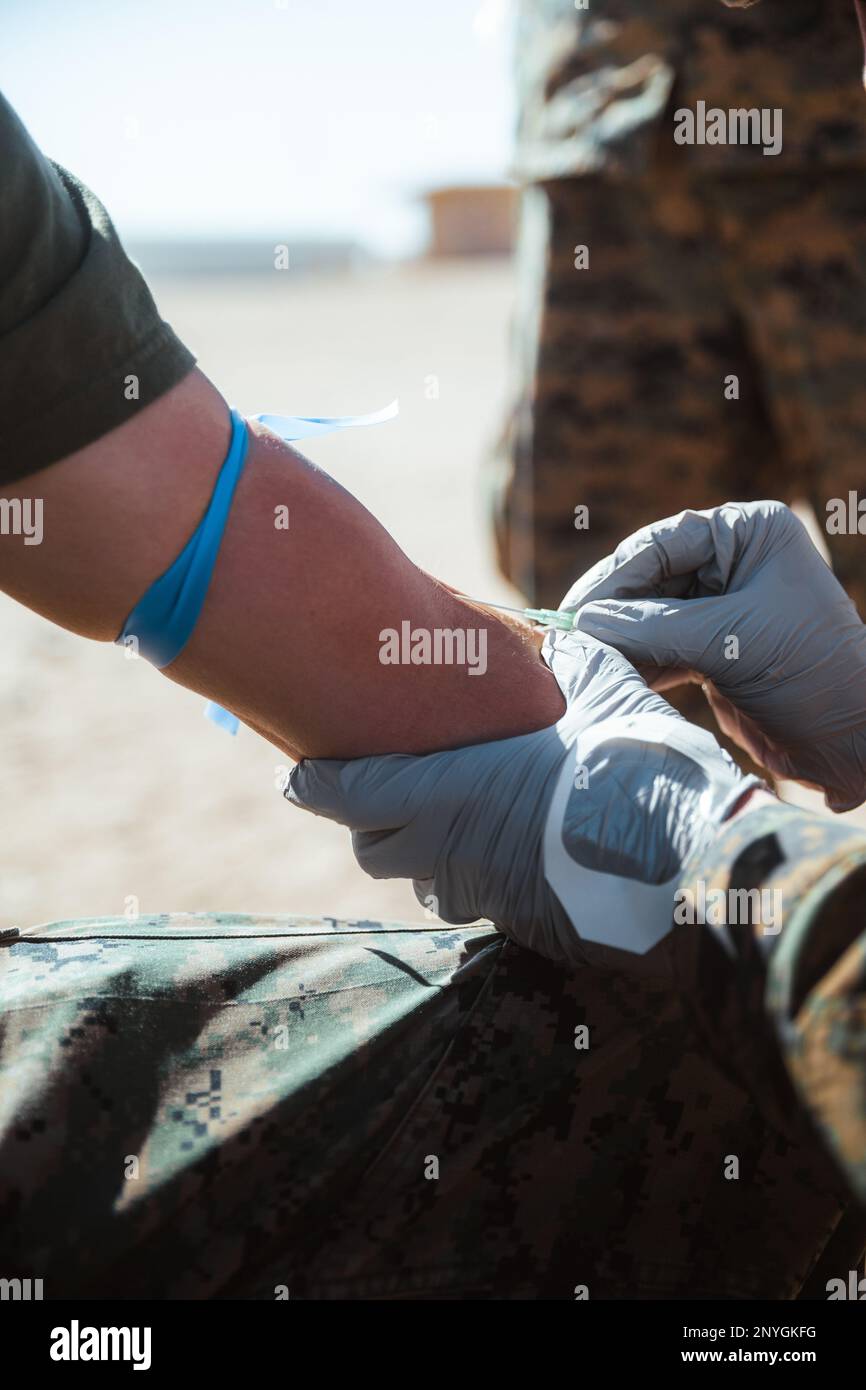 Valkyrie whole blood transfusion training hi-res stock photography and ...