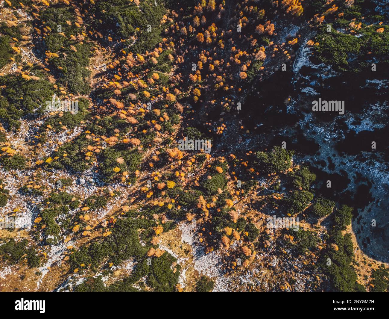 Top down directly above mountain forest in autumn time Stock Photo - Alamy