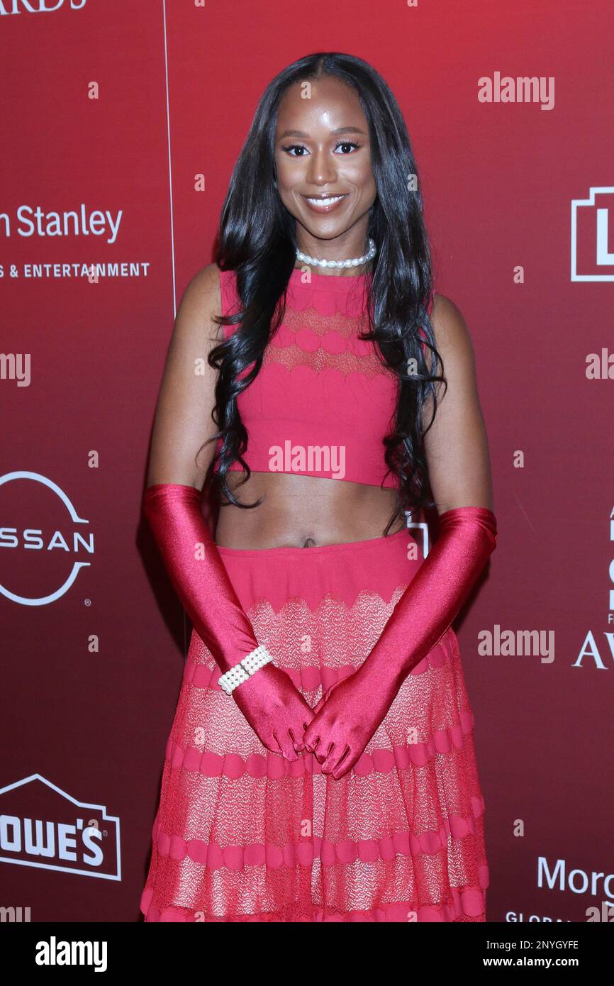 LOS ANGELES - MAR 1: Ashlei Sharpe Chestnut at the 14th AAFCA at the ...
