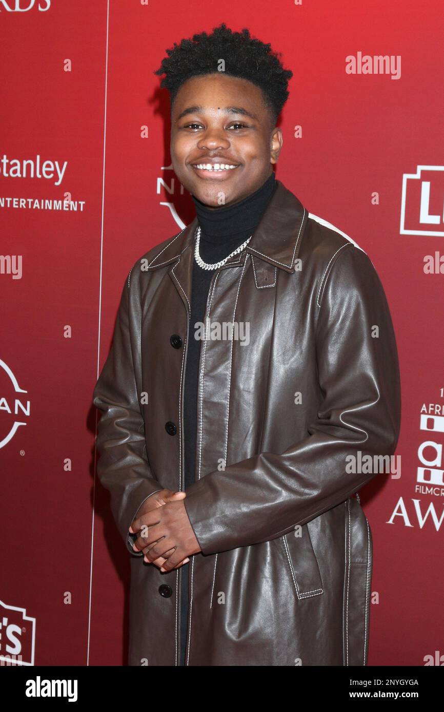 LOS ANGELES - MAR 1: Jayln Hall at the 14th AAFCA at the Beverly ...