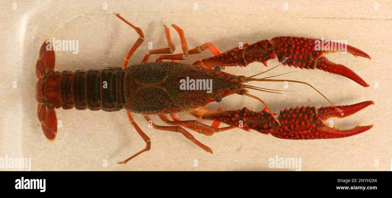 This undated photo provided by the United States Geological Survey ...