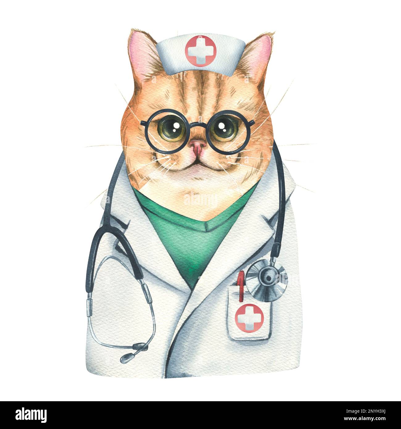 Cat breed golden chinchilla doctor with a stethoscope in a medical suit ...