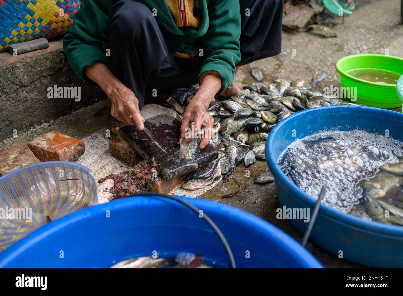 Crop man cleaning freshly caught fish while sitting in ground in local ...
