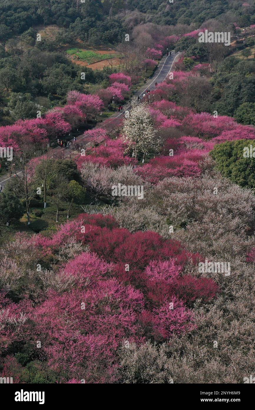 (230302) -- HANGZHOU, March 2, 2023 (Xinhua) -- This aerial photo taken on March 2, 2023 shows ...