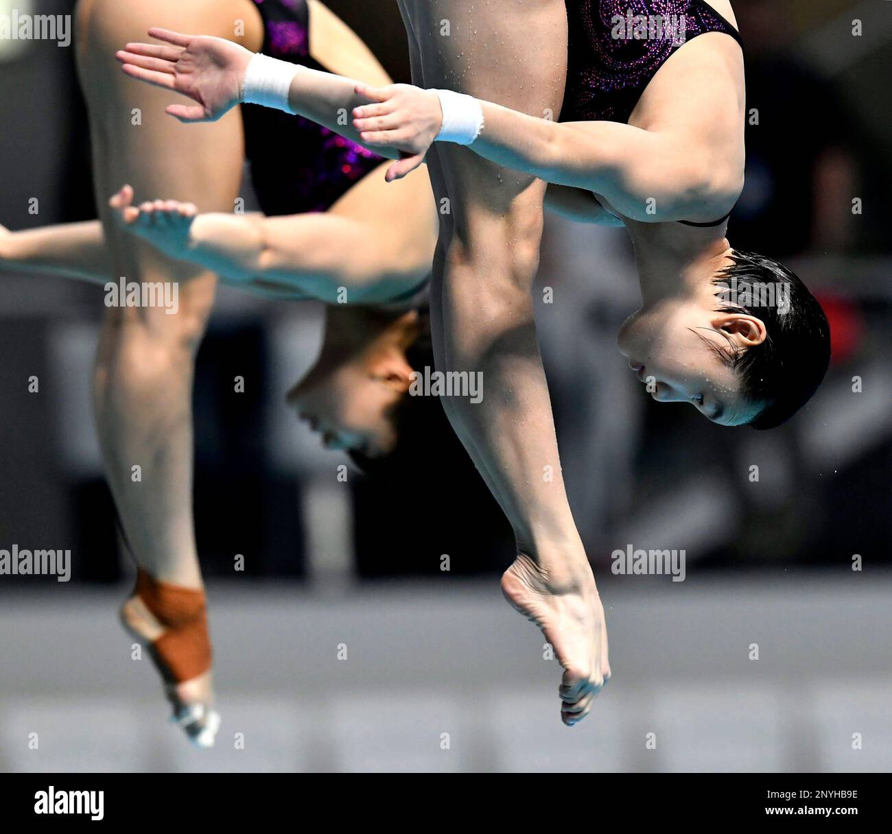Shi Tingmao and Chang Yani of China compete to win the women's 3m ...