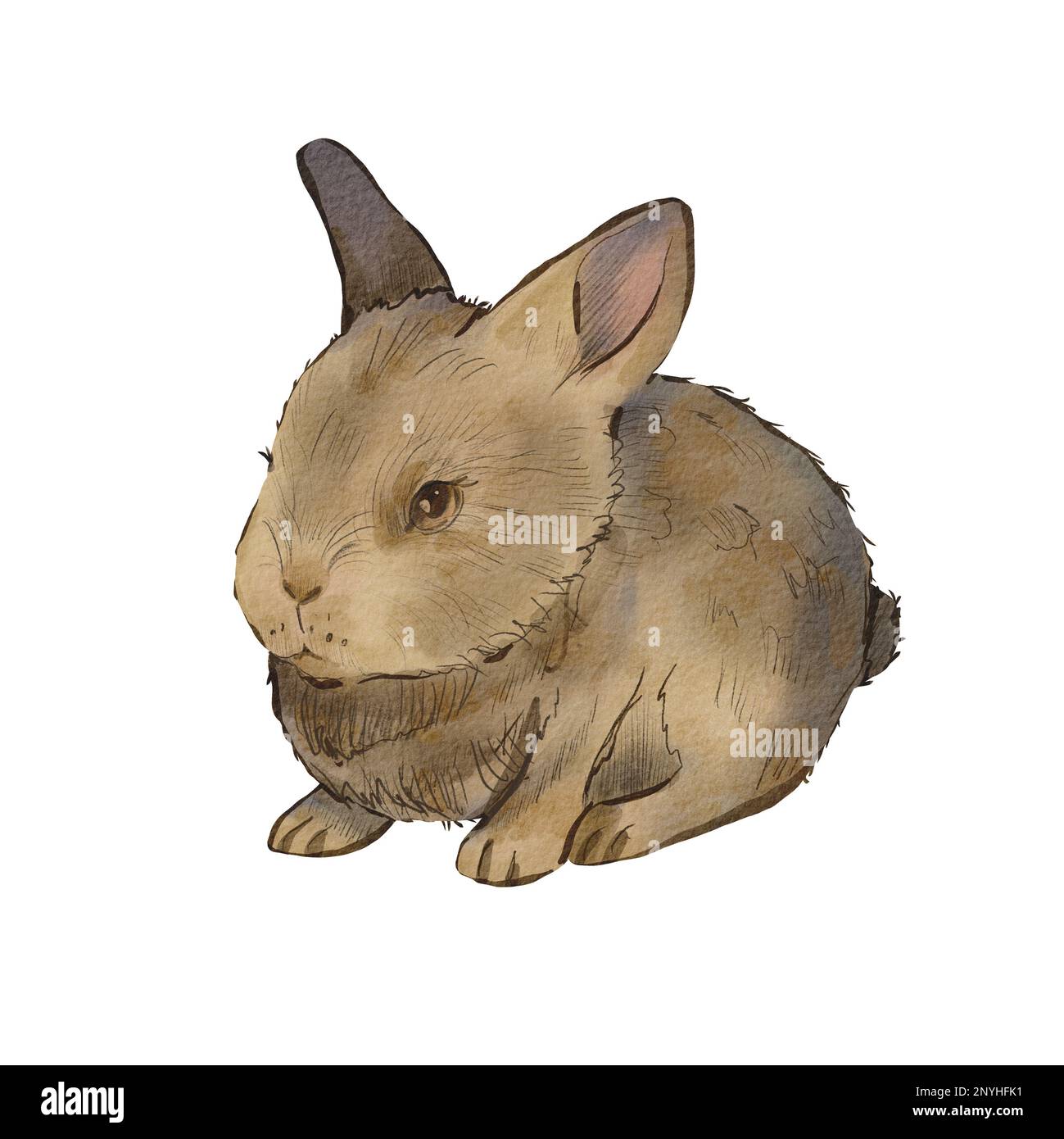 Cute little rabbit isolated on white background. Watercolor ...
