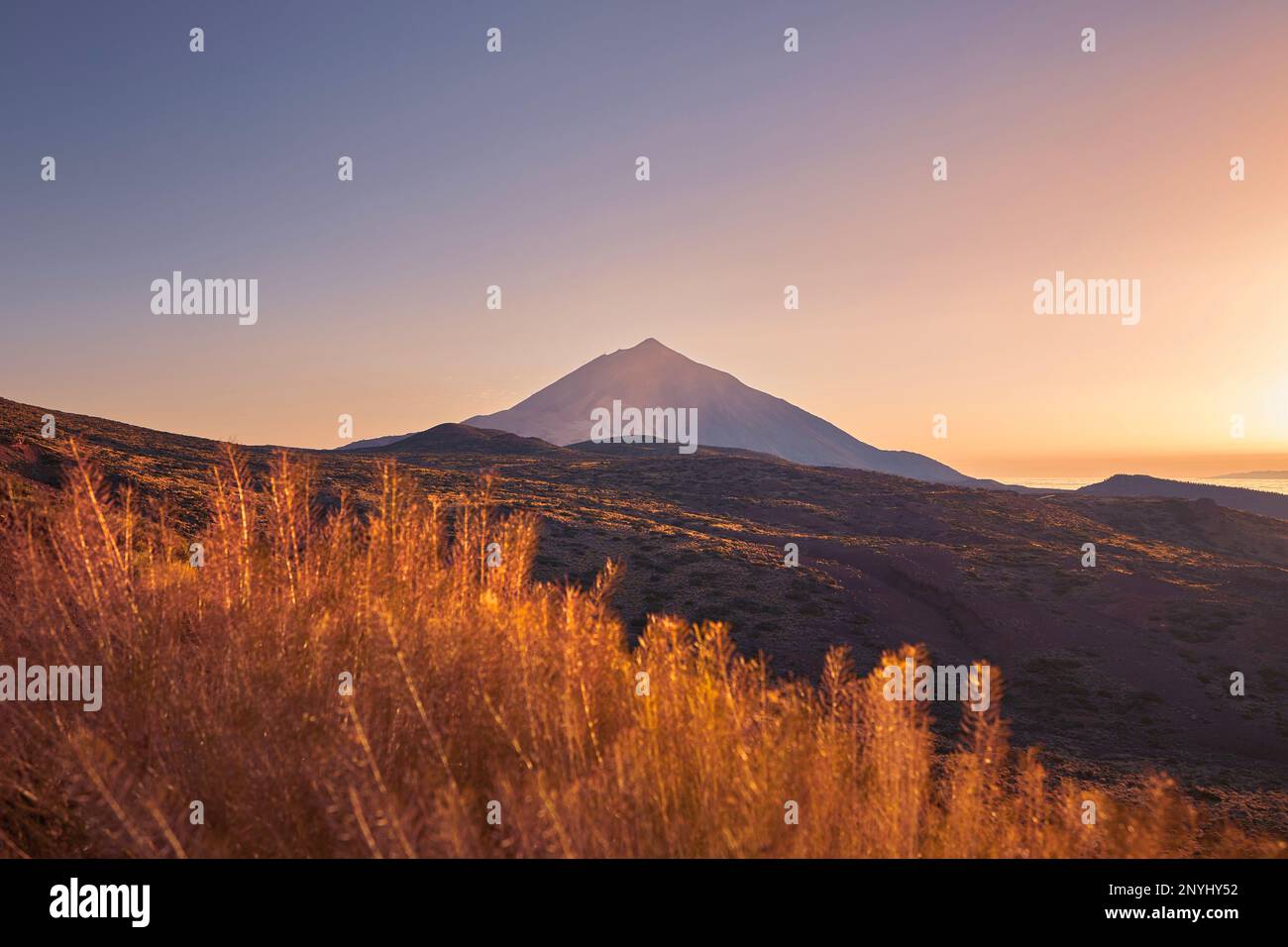 Beautiful volcanic landscape with volcano Pico de Teide at sunset ...