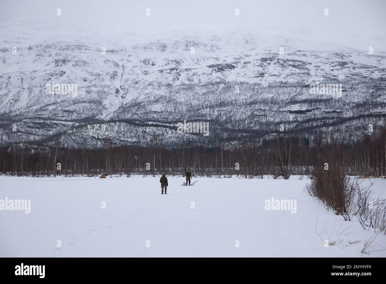 U.S. Marines with 2d Combat Engineer Battalion, 2d Marine Division ...