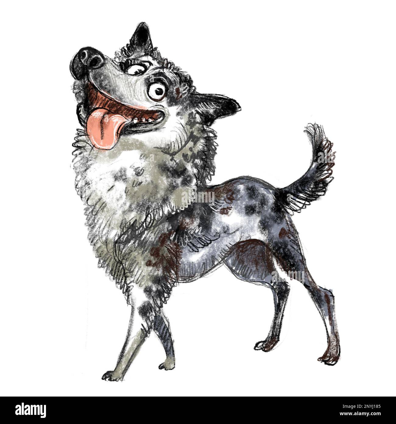 Cute funny cartoon dog character. Mudi dog breed raster illustration ...