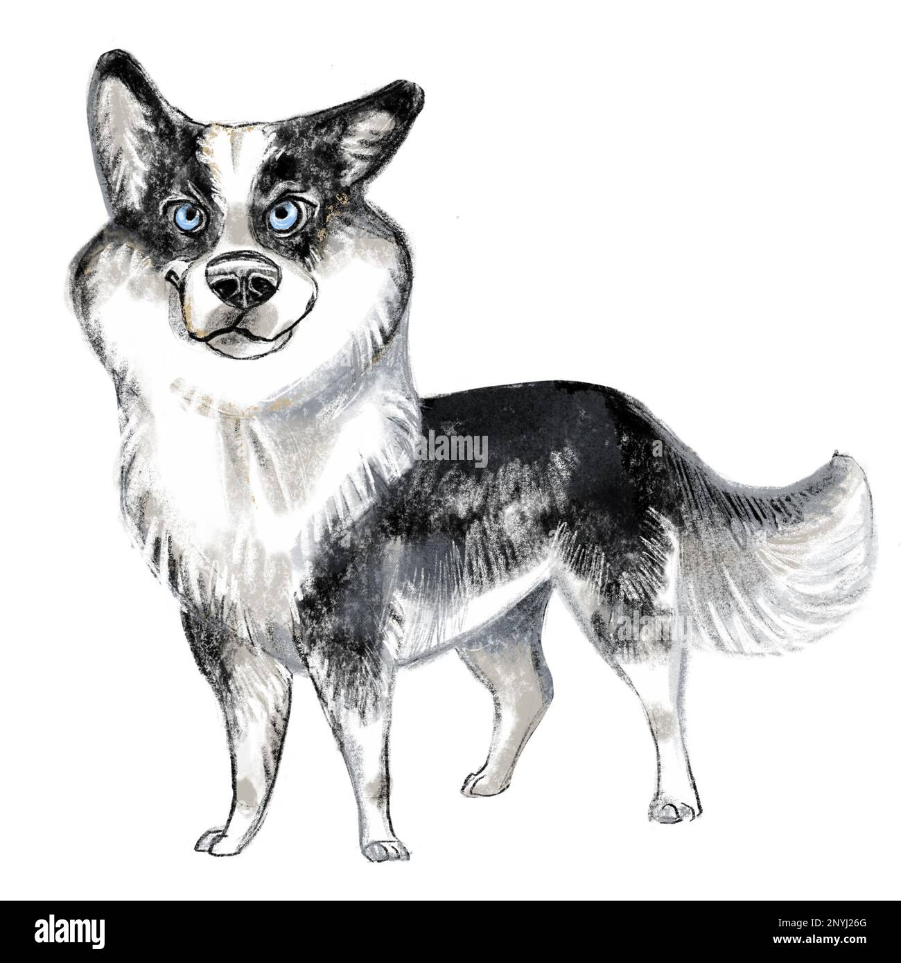 Cute funny cartoon dog character. Yakutian Laika dog breed raster ...