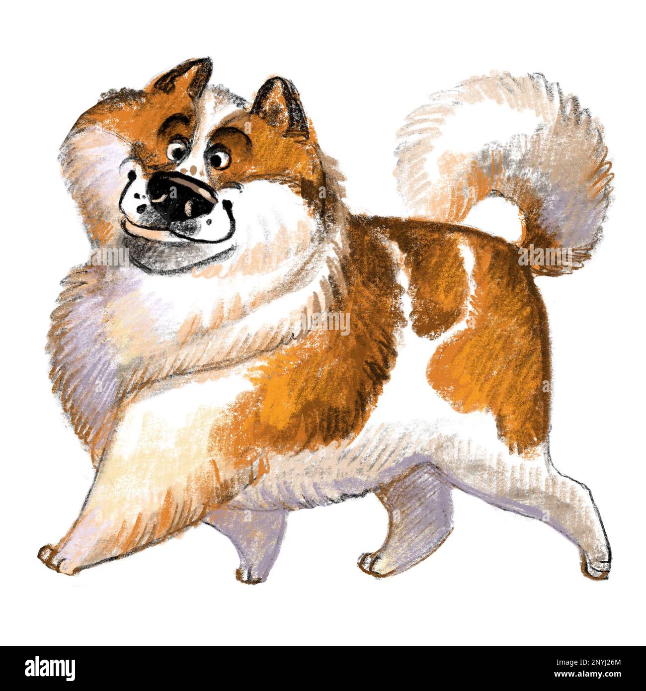 Cute funny cartoon dog character. Thai Bangkaew Dog breed raster ...