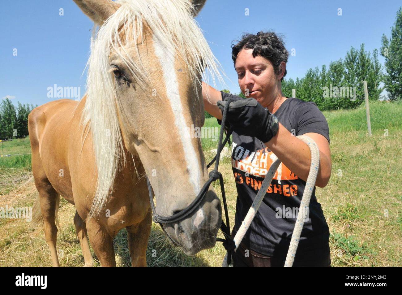In this Monday, July 9, 2017 photo, Meredith Cherry puts a halter on ...