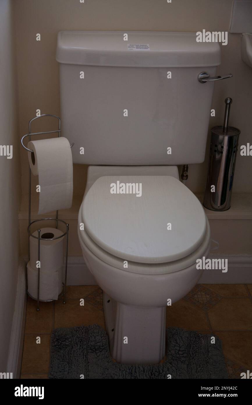 Dual flush syphon system hi-res stock photography and images - Alamy