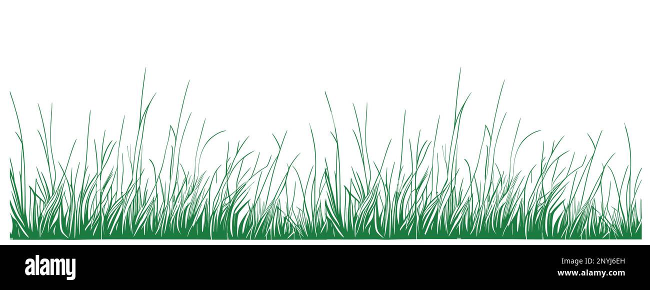 Lawn green mowed cut Stock Vector Images - Alamy