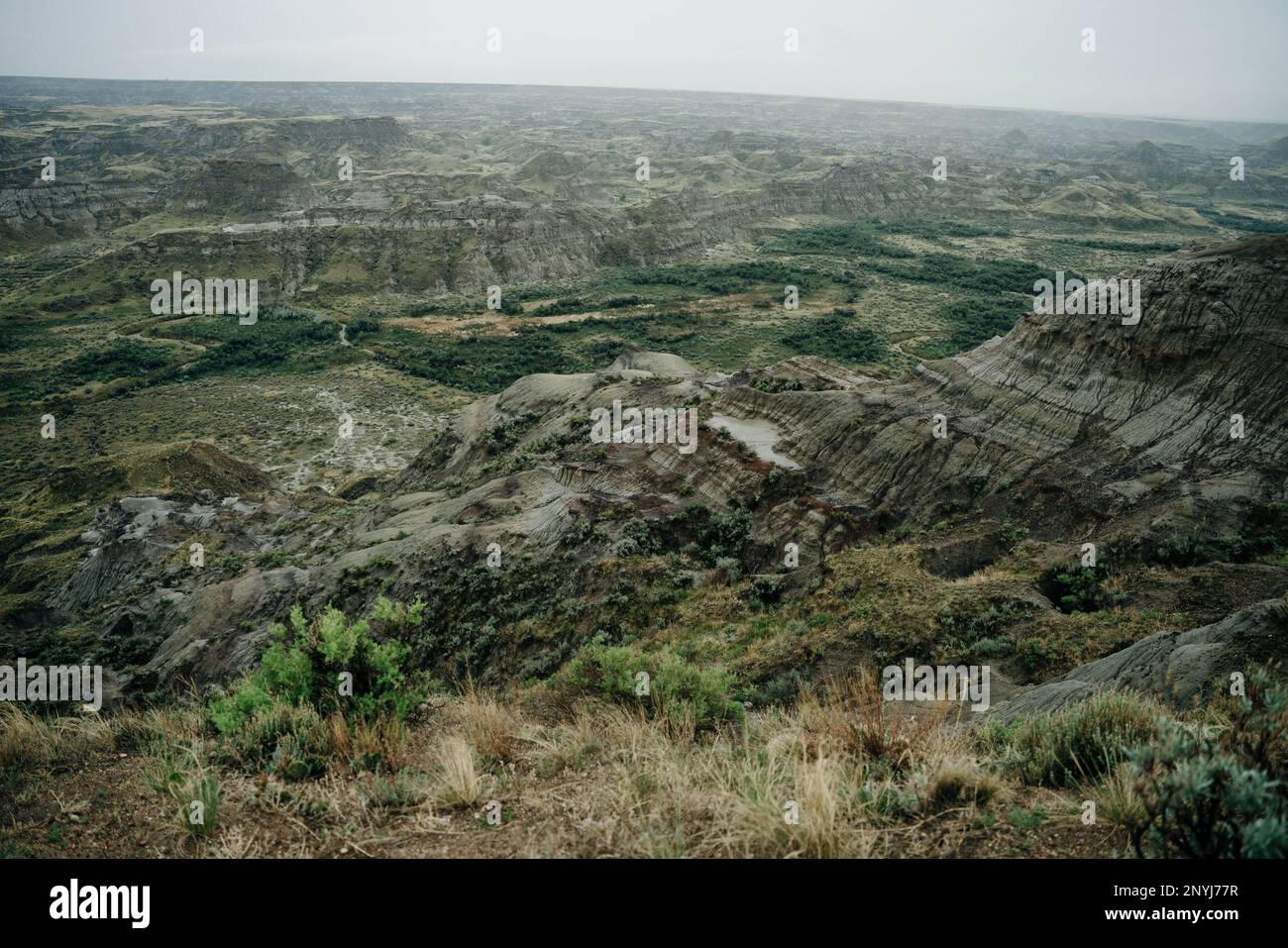 Drumheller badlands landscape in summer, Dinosaur Provincial Park ...