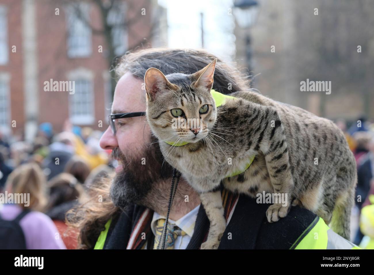 Bristol, UK. 2nd March 2023. Perkin the cat lent his support. Striking teachers hold a rally on ...