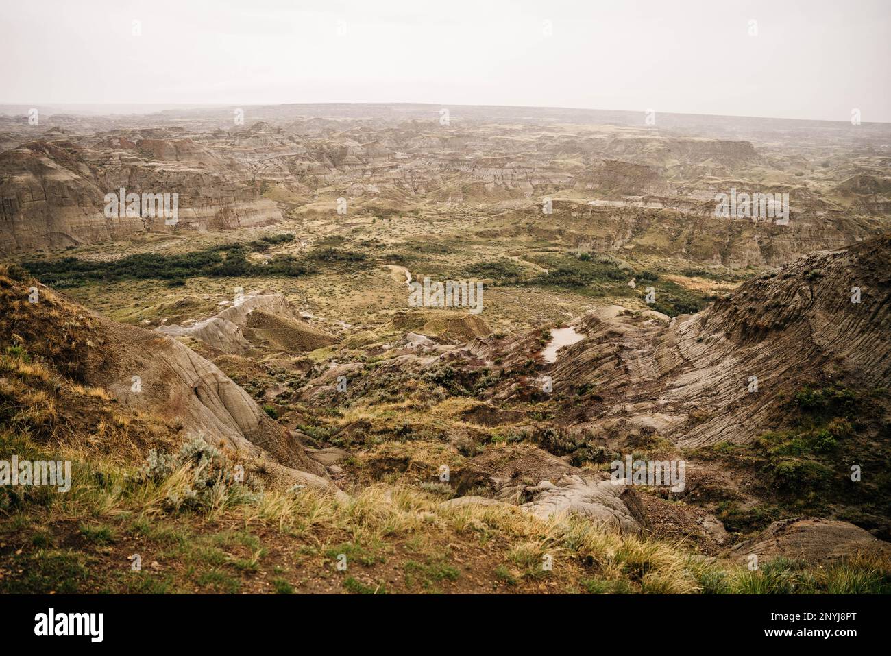 Drumheller badlands landscape in summer, Dinosaur Provincial Park ...