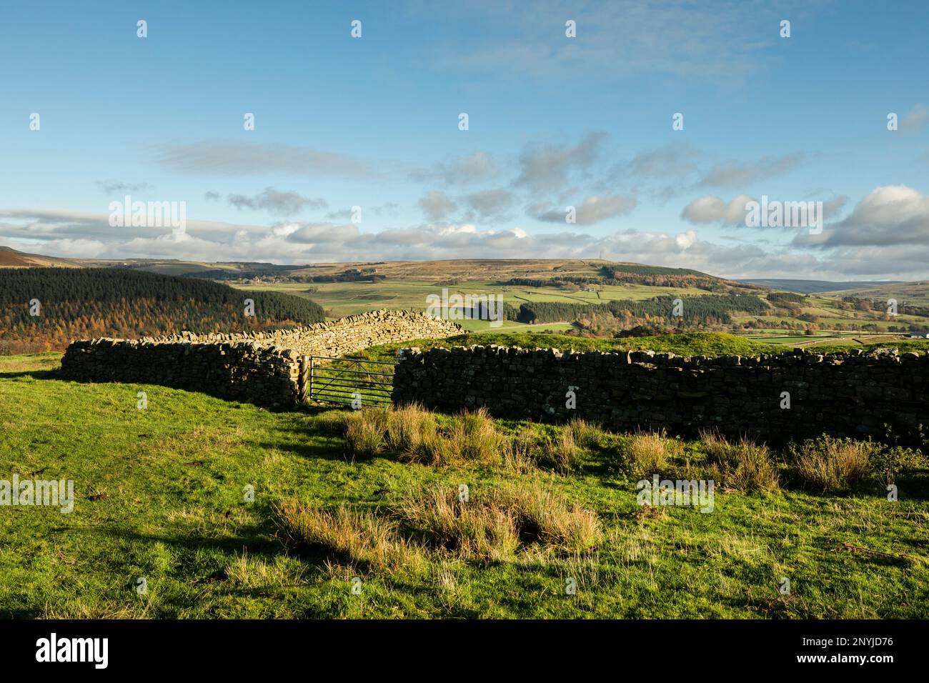 Whitley castle hi-res stock photography and images - Alamy