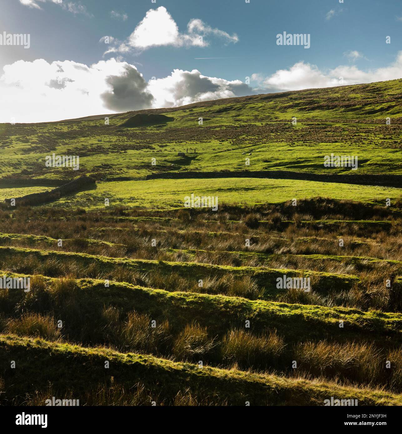 Whitley castle hi-res stock photography and images - Alamy