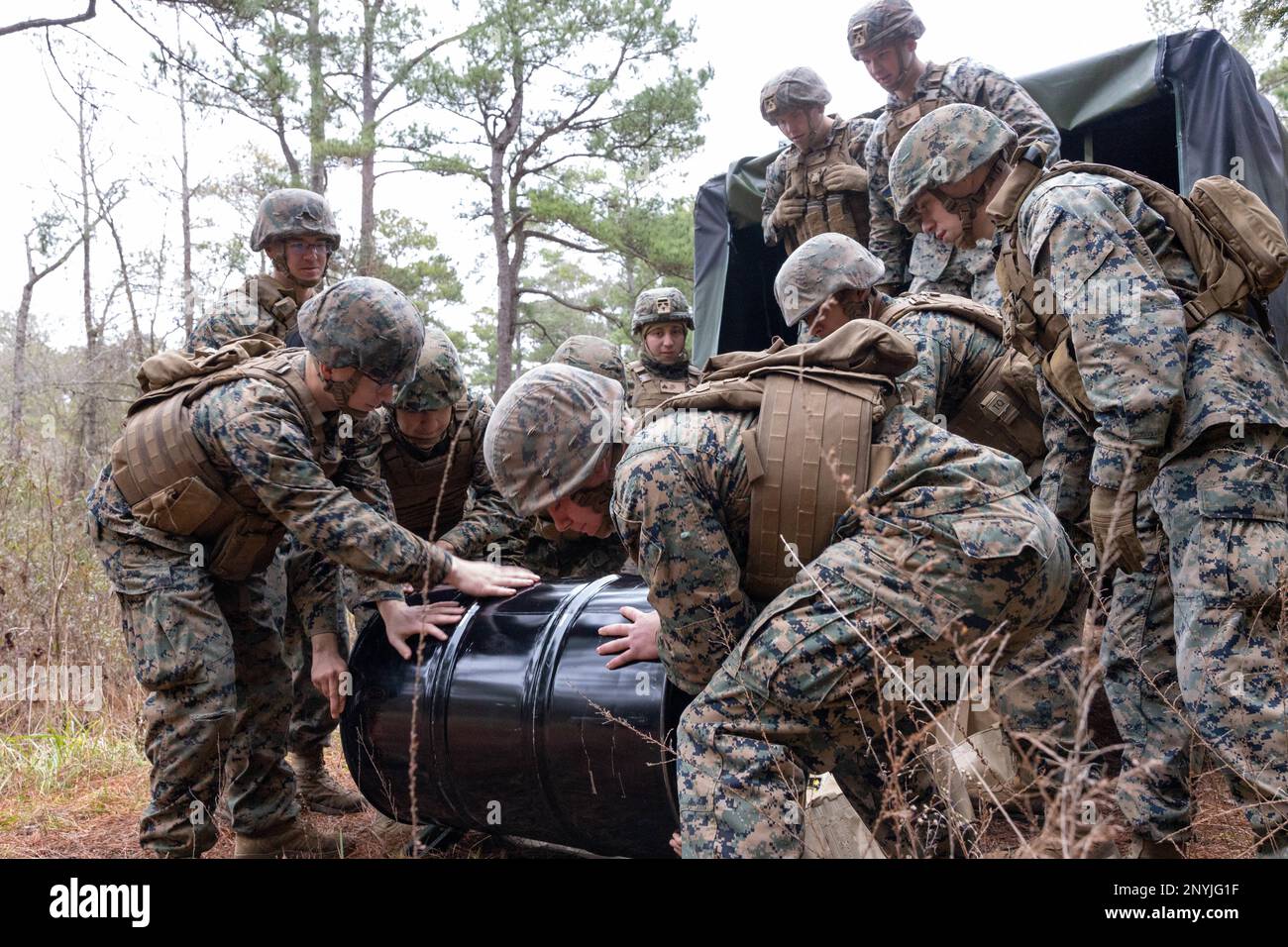 U.S. Marines with Combat Logistics Battalion (CLB) 8, Combat Logistics ...