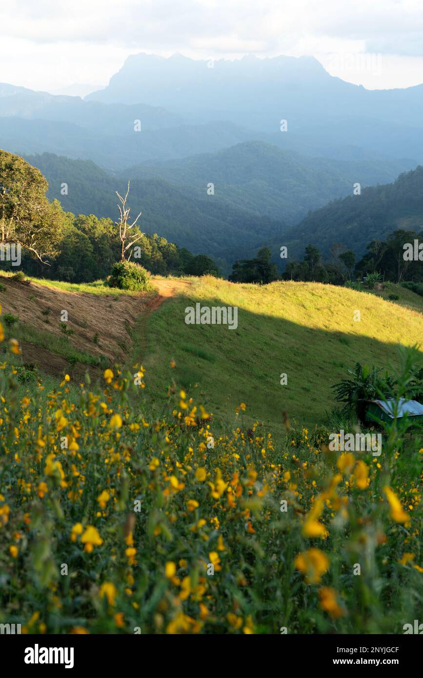Hadubi view point with Doi Chiang Dao mountain in Chiang Mai, Thailand ...