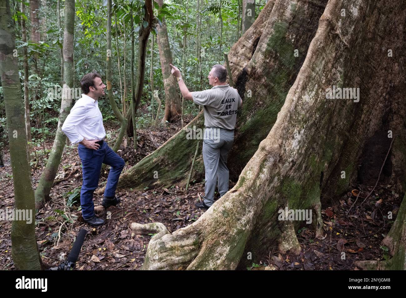 Lee white gabon hi-res stock photography and images - Alamy