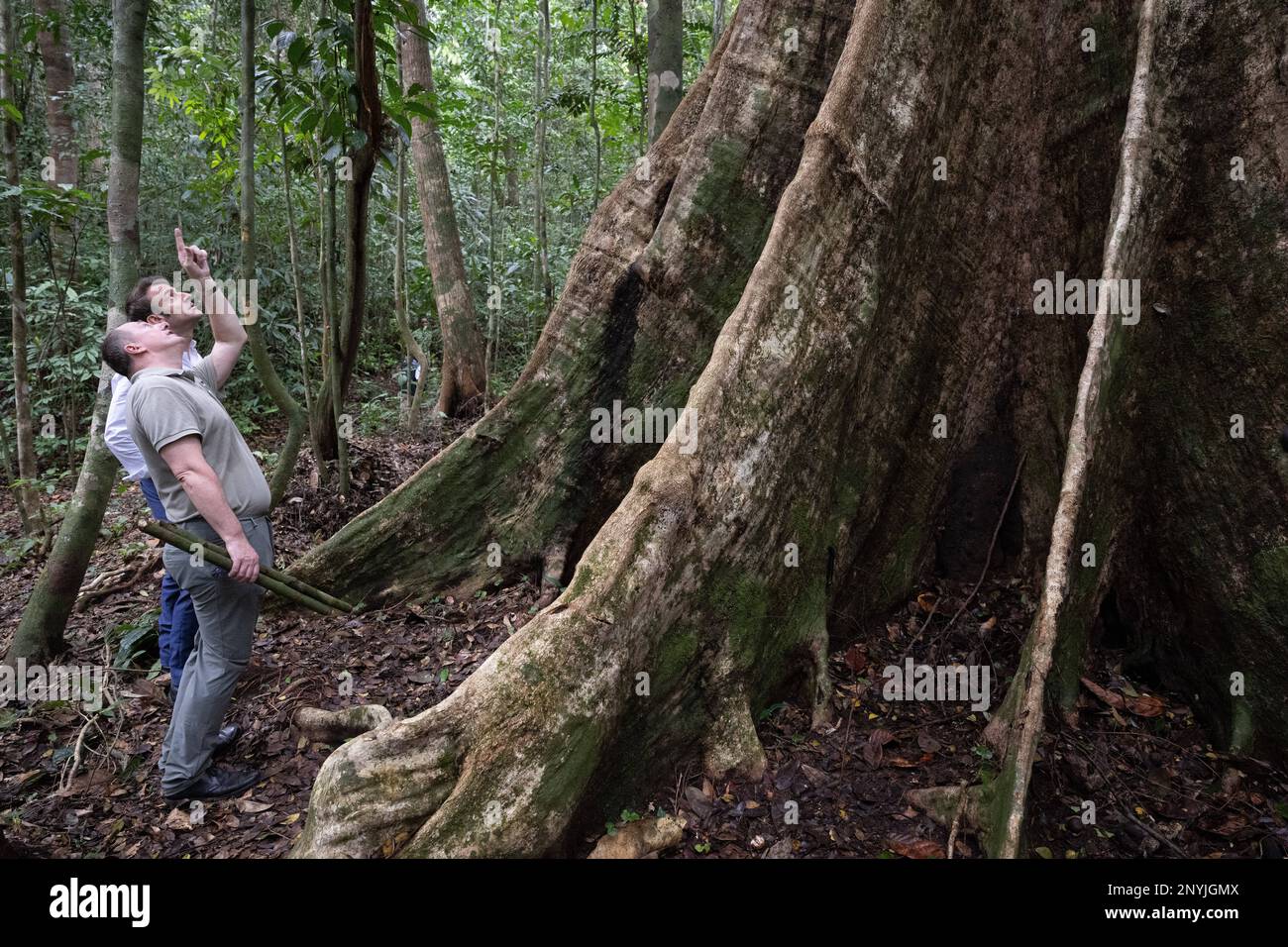 White lee gabon hi-res stock photography and images - Alamy