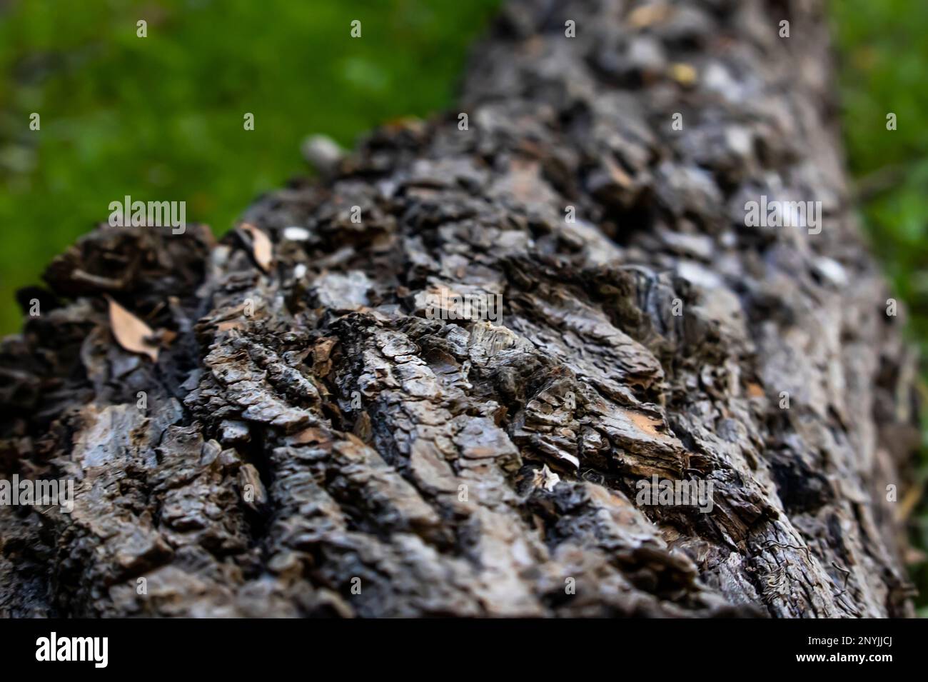 Bole bole hi-res stock photography and images - Alamy