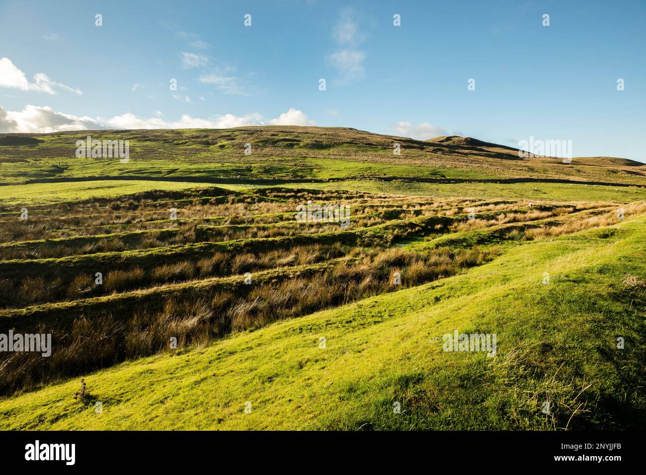Whitley castle hi-res stock photography and images - Alamy