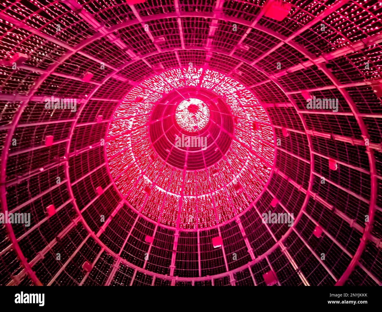 Psychedelic colored neon lights hi-res stock photography and images - Alamy