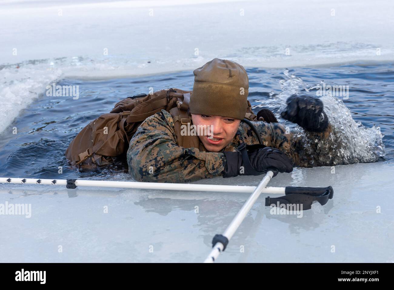 U.S. Marine Corps Lance Cpl. Carlos Rodriguezcolon, a motor vehicle ...