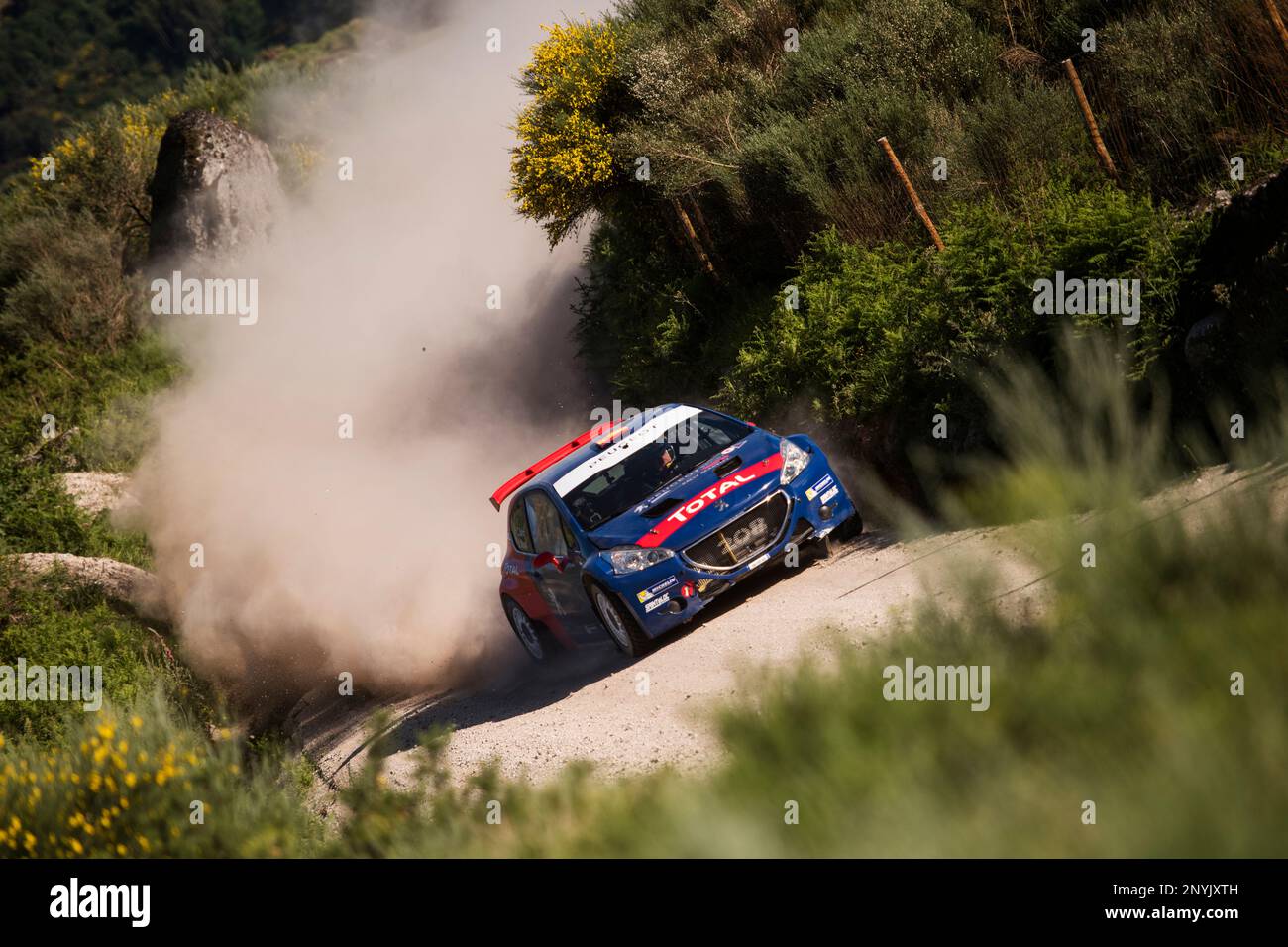 Two-time World Rally Champion Carlos Sainz (ESP) has joined stop 6 of ...