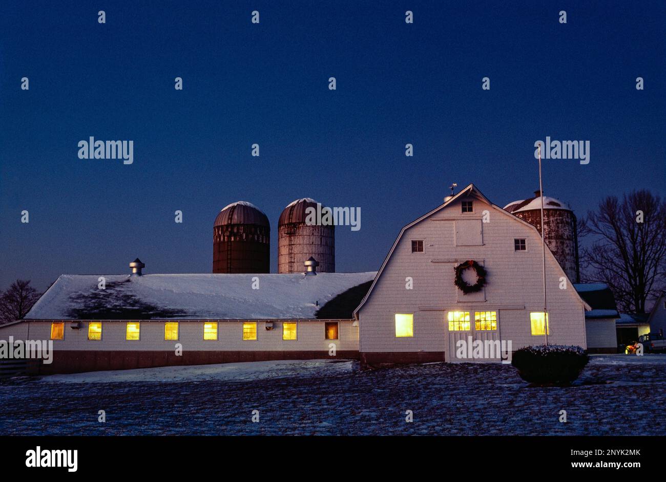 Connecticut dairy barn and silos at dusk in winter with warm glow ...