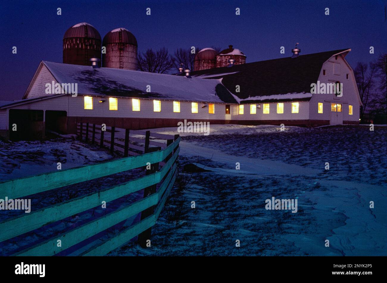Connecticut dairy barn and silos at dusk in winter with warm glow ...