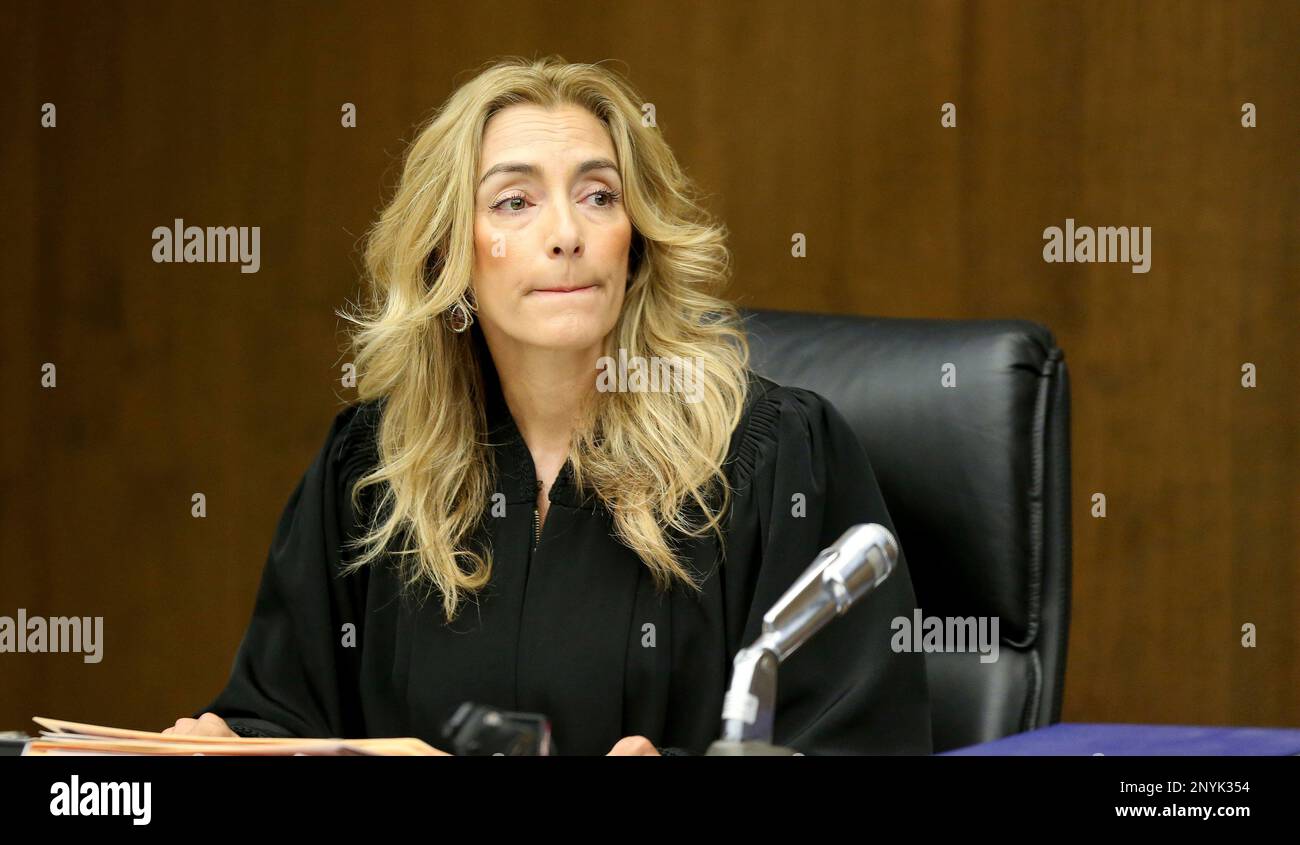 Los Angeles County Superior Court Judge Cathryn Brougham presides over ...