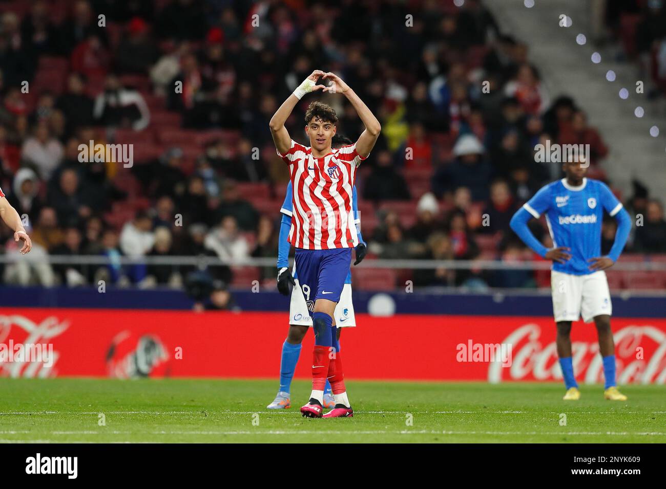 Raihani hi-res stock photography and images - Alamy