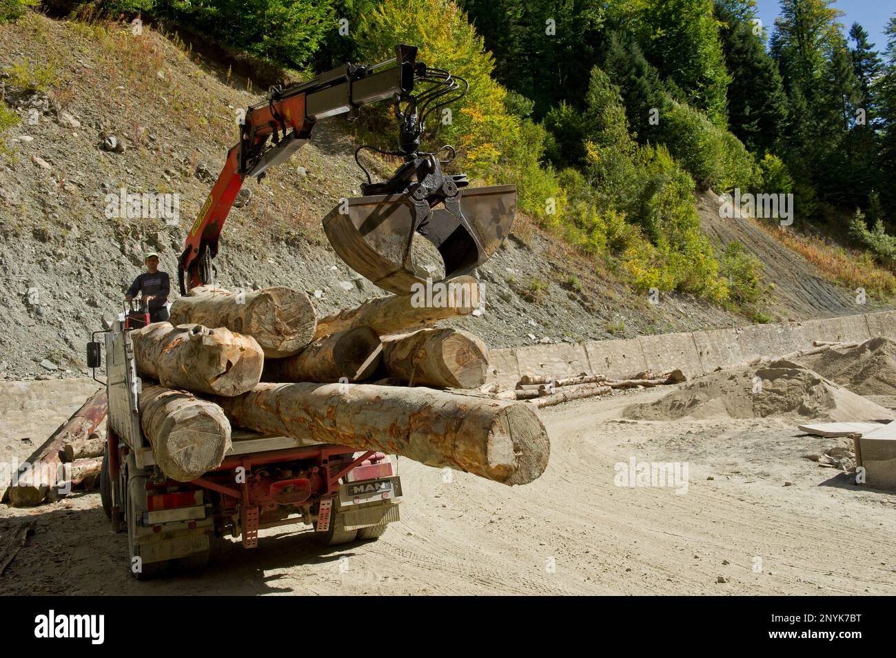 Retezat national park, Romania: Logging of old growth forest Stock ...