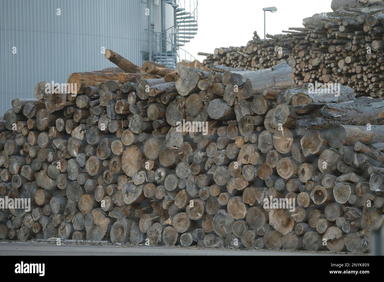 Linz / Austria - In a biomass power plant, huge piles of logs are ...