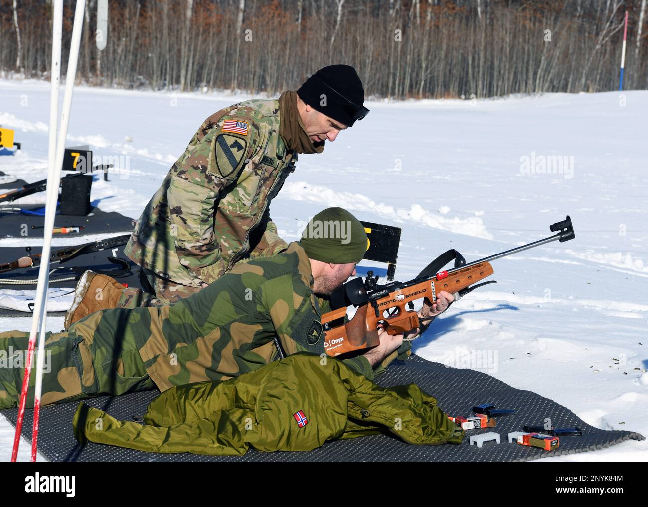 Members of the Norwegian Home Guard take part in a biathlon during ...