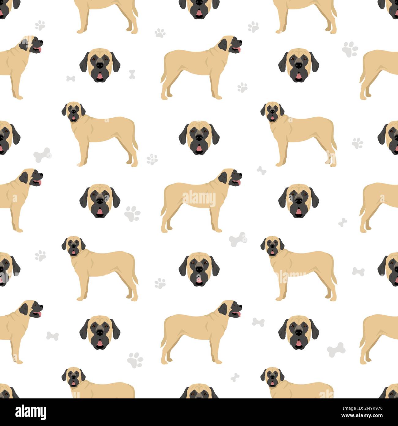English mastiff seamless pattern. Vector illustration Stock Vector ...