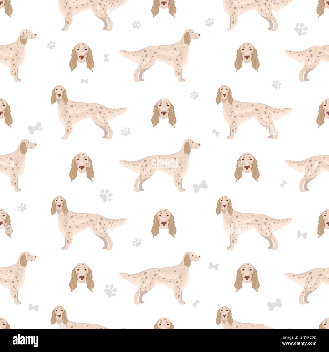 English setter seamless pattern. Vector illustration Stock Vector Image ...